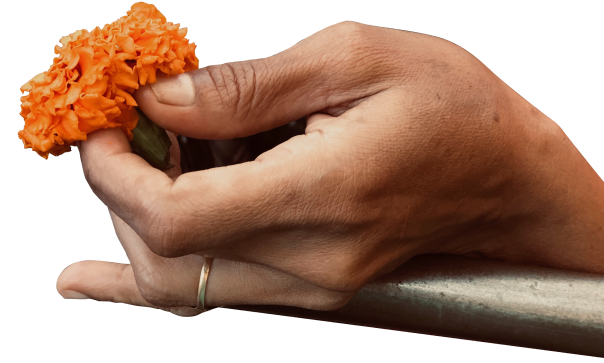 Welcome to The Sense of Behno - behno